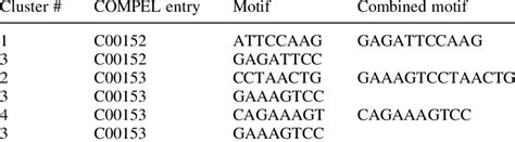 list of overlapping motifs coupled with known nf kb tfbss download table
