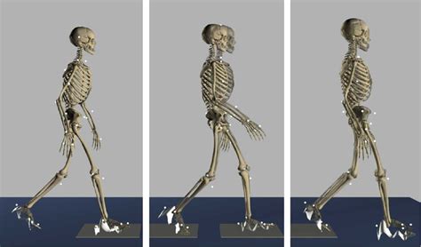 Postures Of The Model At The Beginning Left Half Center And End Download Scientific
