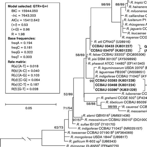 Ml Tree Reconstructed Based On Housekeeping Gene Reca Glnii And Atpd