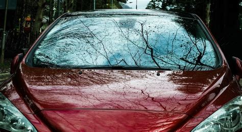 Premium Photo Front View Of Red Car Windshield With Tree Branches And
