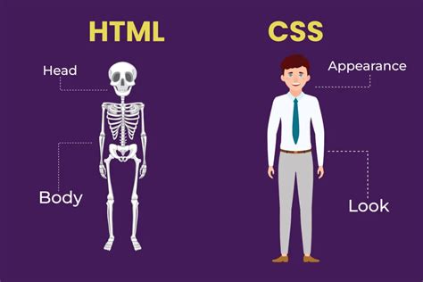 How To Master Html And Css For Beginner In 2024 Techironed