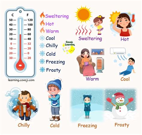 The Magical Temperature Covoji Learning