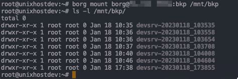 Borg Backup Blog Unixhost 🇺🇦