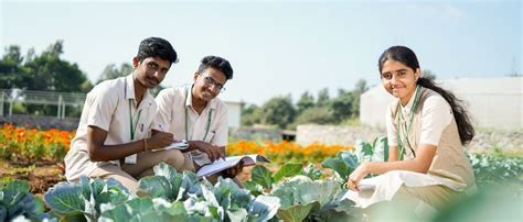 The Importance Of Agricultural Education For New Farmers Al Kamal