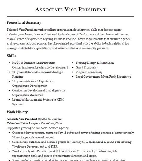 Associate Vice President Resume Example