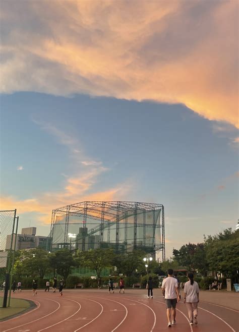 여름 달리기에 대해