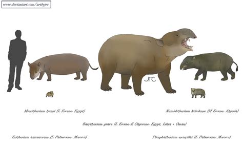 Numidotherium