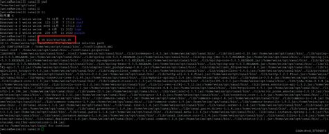 Doris：binlog Load导入数据