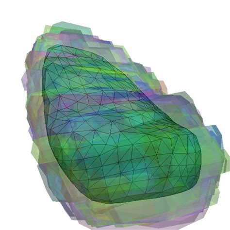 The Estimated Template Triangulated Mesh Superimposed On The Download Scientific Diagram