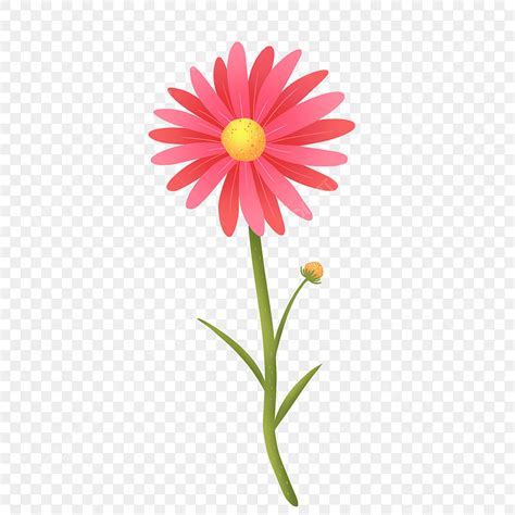 Pink Daisy Flower Clip Art