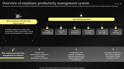 Overview Of Employee Productivity Management System Performance