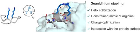 Guanidinium‐stapled Helical Peptides For Targeting Protein‐protein