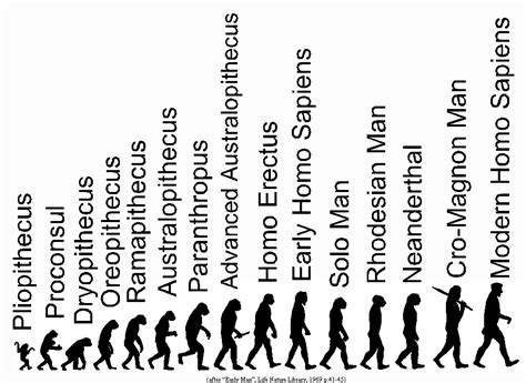 Post Tools Human Evolution Evolution Theory Of Evolution