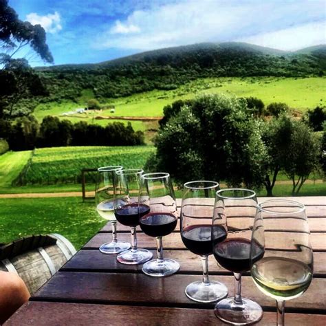 Stonyridge Vineyard All You Should Know Before You Go 2026 W