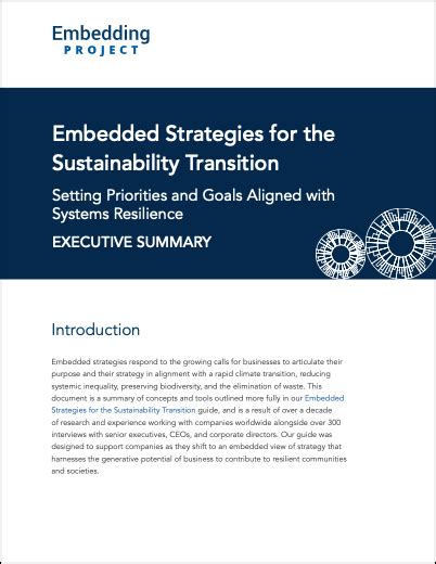 Embedded Strategies For The Sustainability Transition Executive Summary Resource Embedding