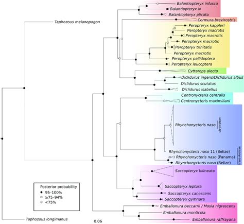 Majority Rule Tree Inferred From The Combined Data Set Of Embalonurid