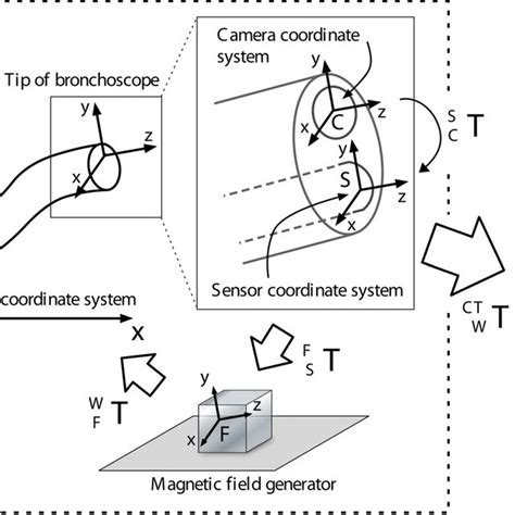 Illustration Showing The Relationship Between Coordinate Systems Download Scientific Diagram