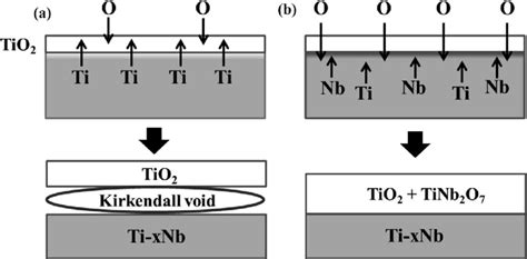 Schematic Illustration Of Oxide Layer Formation A X B X Download Scientific Diagram