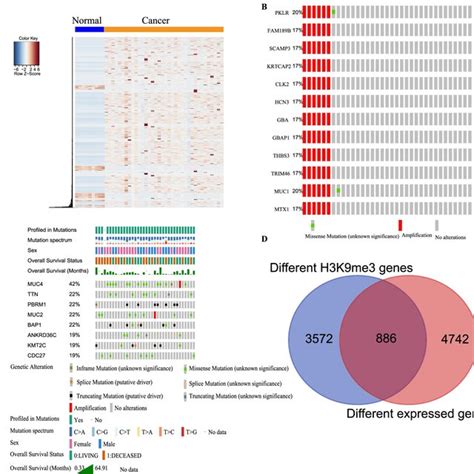 Different Expressed Genes In Icc A Heatmap And Hierarchical Clustering