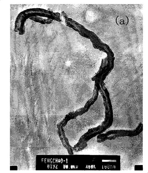 Polyanilinecarbon Nano Tubenanometer Silver Particle Conductive