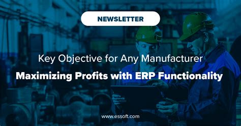 Maximizing Profits With Erp Functionality Is The Key Objective For Any