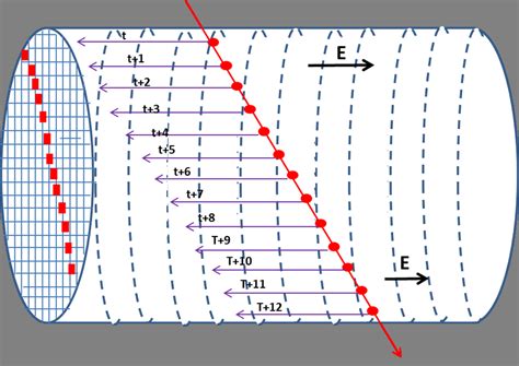 Schematic Of The Proposed Time Projection Chamber Download Scientific Diagram