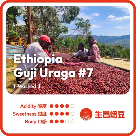 Ethiopia Guji Uraga 7 Washed 生昌焙豆 Sang Roastery