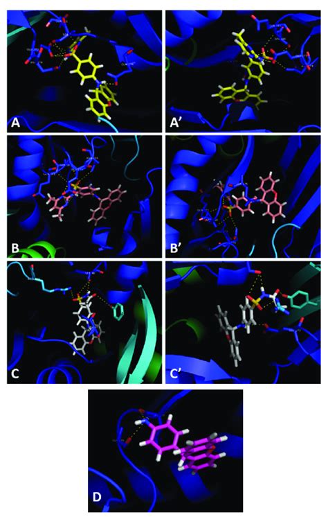 Molecular Visualization Of Compounds 3a A A 3b B B 3c C C
