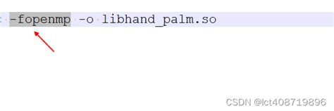 解决undefined reference to `omp get thread num‘ omp get num threads omp set dynamic gomp parallel
