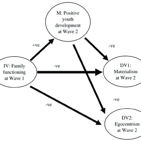 Conceptual Model For The Mediating Effect Of Positive Youth Development