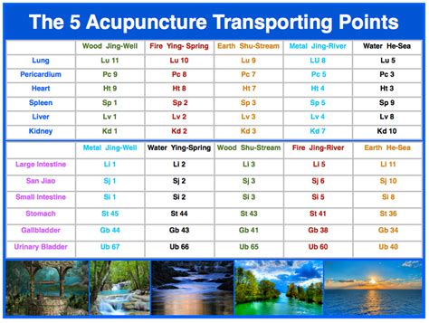 The Most Used Acupuncture Points In Clinical Practice
