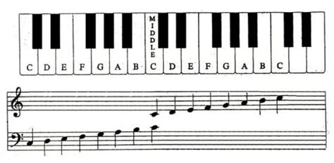 Piano Keys Labeled 5