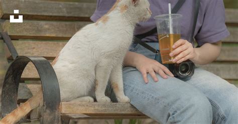 회색 긴 소매 셔츠를 입은 여자는 갈색 나무 벤치에 앉아 투명한 음료수 유리를 들고 있다 사진 Unsplash의 무료 회색 이미지