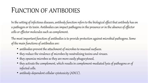 Immunoglobulins Structure Functions And Types Ppt