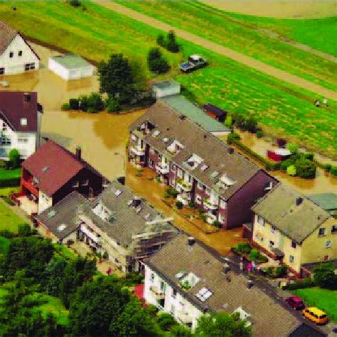 Cfd Simulation Of The Fluid Flow Velocity Field Distribution At The Download Scientific Diagram