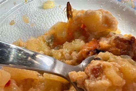 Майка намери хлебарка в храна взета от детска кухня Снимки