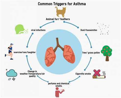 Our Essential Guide To Asthma Hts First Aid Training