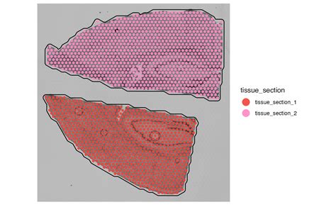 spatial annotation screening spata2