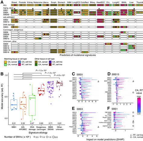 Associations Of Mutational Signatures With Chromatin Accessibility And