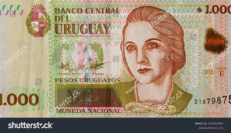 377605 Imágenes De Empresaria Con Billetes Imágenes Fotos Y