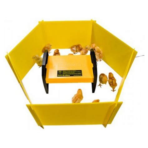 Chicken Brooder Enclosure Panels Chicken Brooder Brooder Poultry