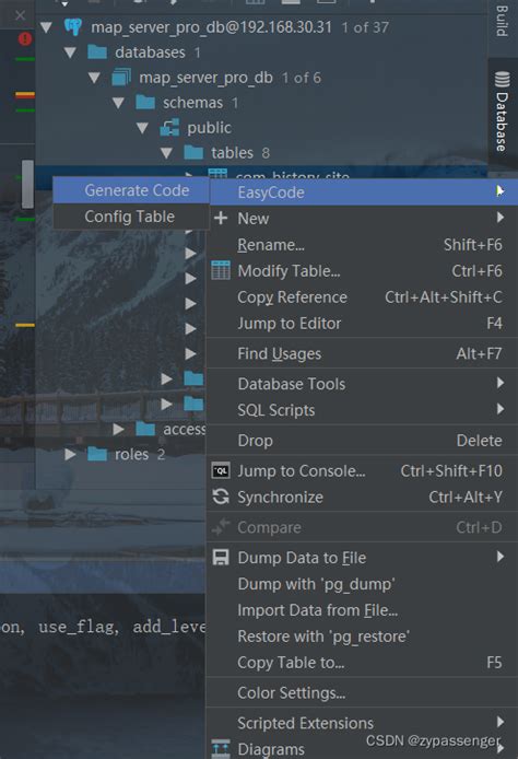 代码生成器 Easycodeidea Setting中没有easycode Csdn博客