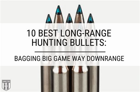 10 Best Long Range Hunting Bullets Bagging Big Game Way Downrange