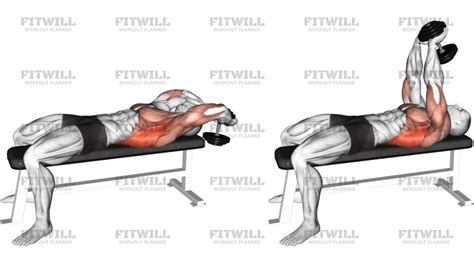 Pullover Com Haltere Guia De Exercícios Vídeo Técnicas Benefícios Como Fazer Músculos