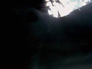 Naked Najwa Nimri In Sex And Lucia