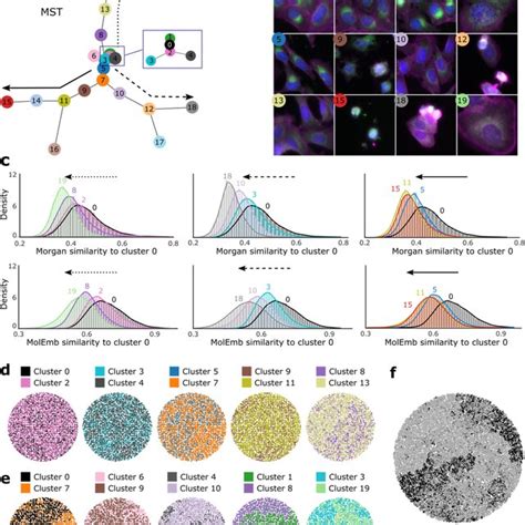 Translation Of Phenotypic Similarity To Generated Chemical Similarity Download Scientific