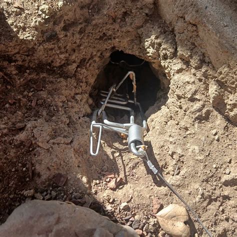 Gopher And Moles Traps On Sale Order At 408 991 2216