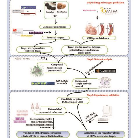 The Schematic Representation Of Our Method Involving Bioinformatics