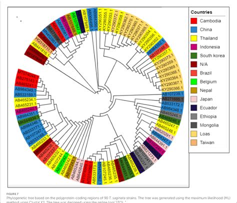 Figure 7 From Evolution Of Codon Usage In Taenia Saginata Genomes And Its Impact On The Host