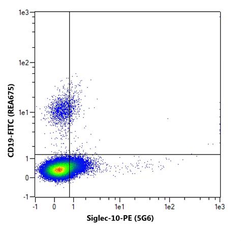 Siglec 10 Antibody Anti Human Miltenyi Biotec 中国